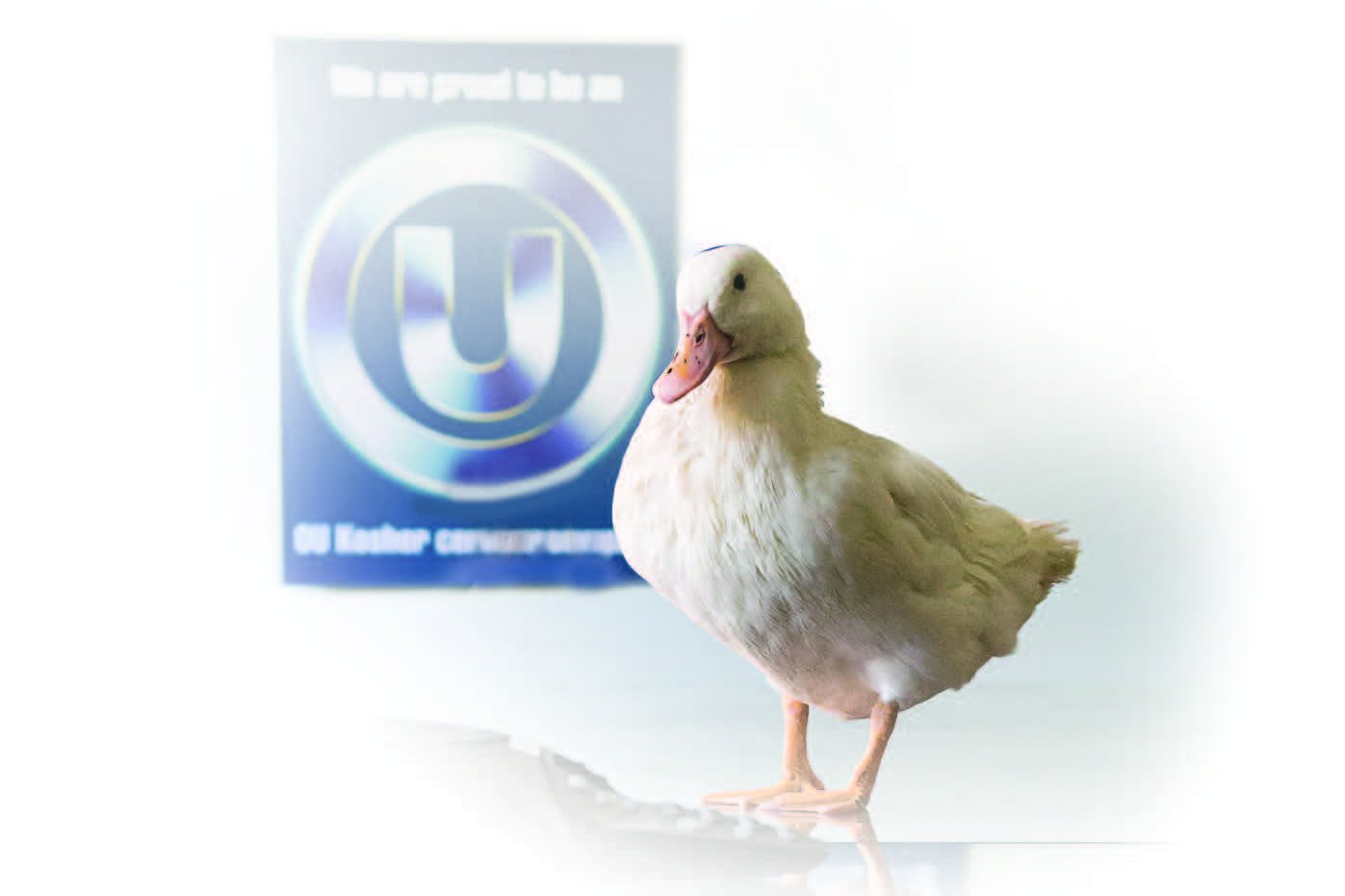 OU Kosher Video: The Mesorah Of Kosher Birds And Animals